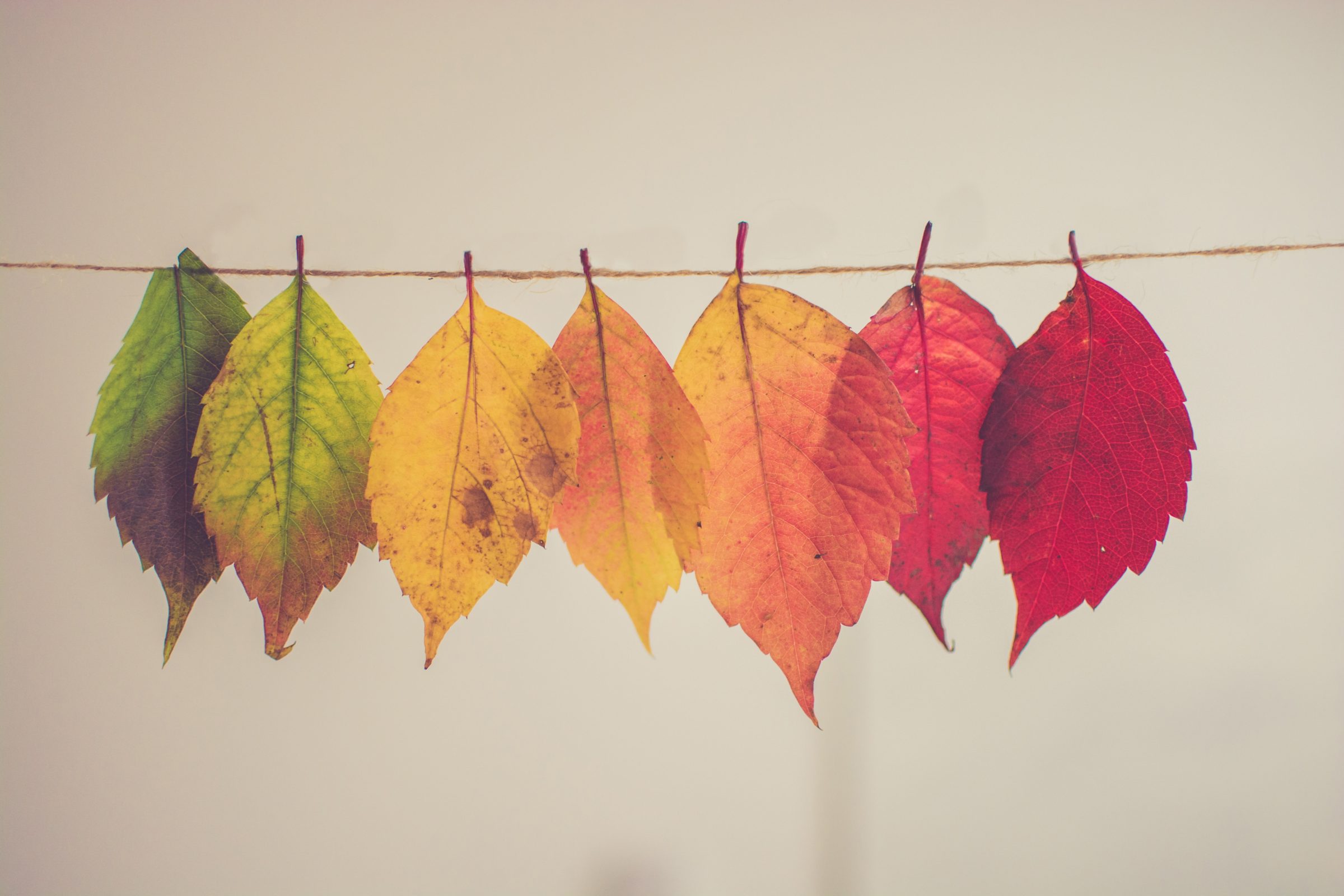 October | Elim Grace Christian Church